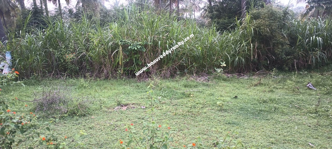 Residential Land for Sale at Thondamuthur|Coimbatore | Hanu Reddy Realty