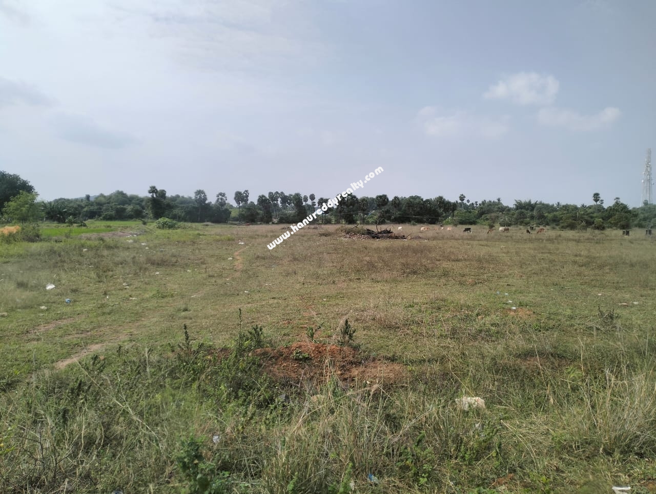 Farm Land for sale at Padalam koot Road, Kanchipuram|Chennai | Hanu ...
